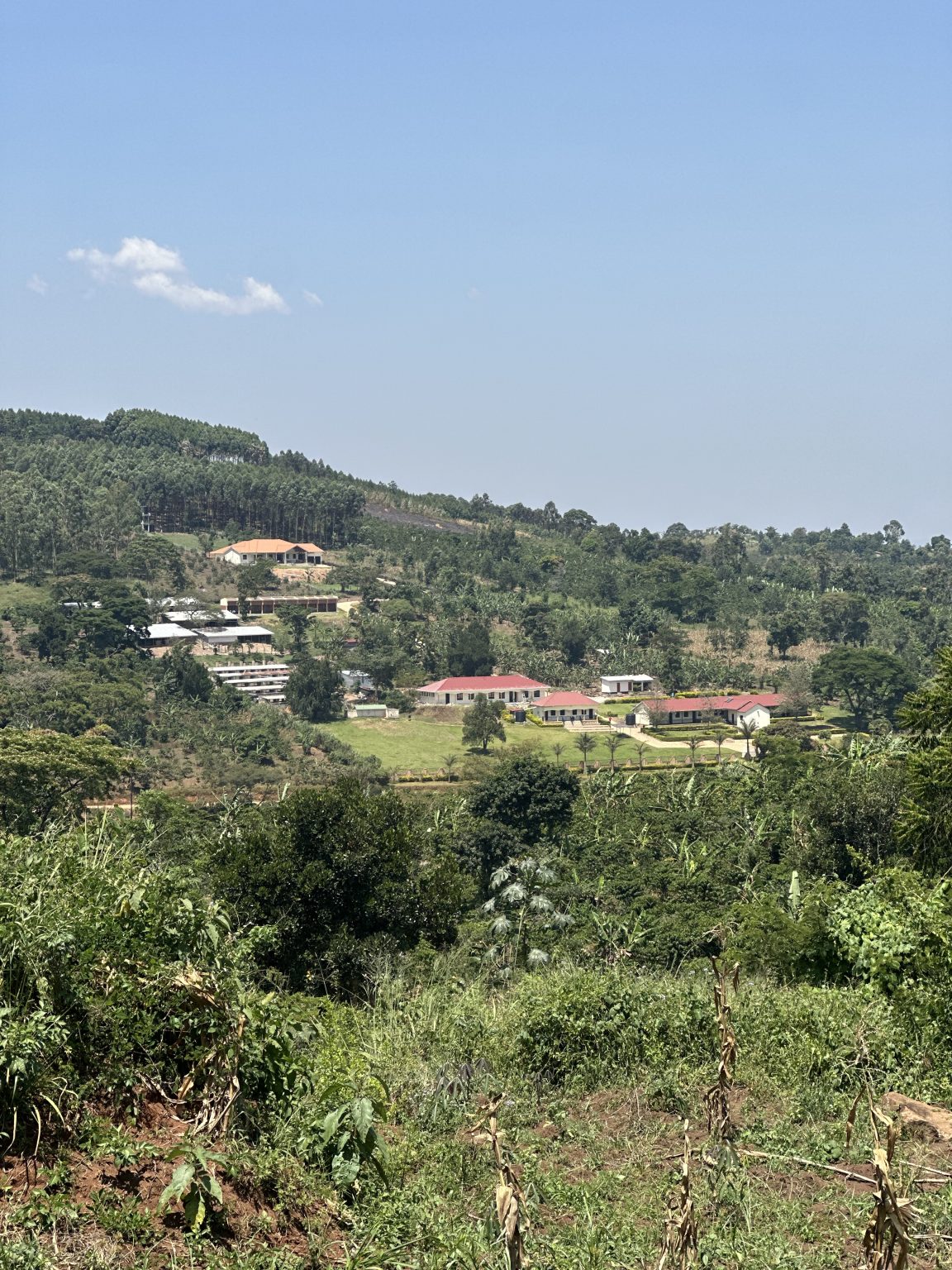 Primary School